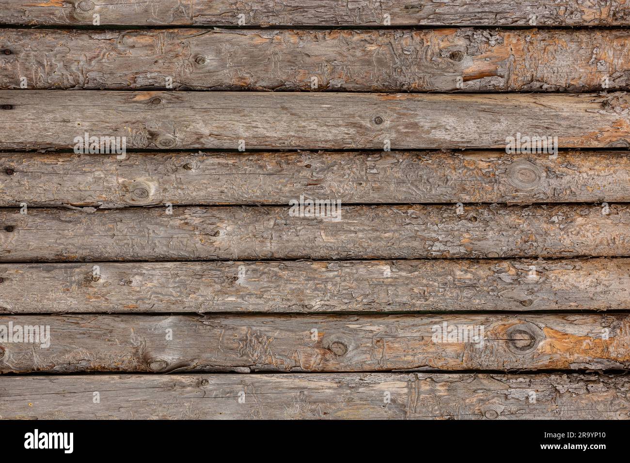 Texture rugueuse du bois. Les murs d'une maison de campagne sont faits ...