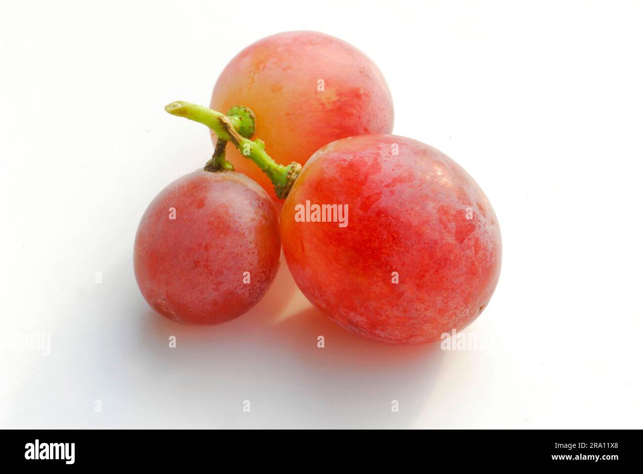 Raisin globe rouge Banque de photographies et d’images à haute ...