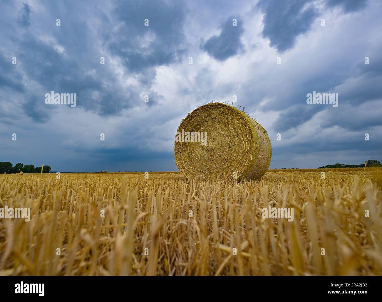 30 juin 2023, Brandebourg, Petersdorf: Des nuages de tempête sombre ...