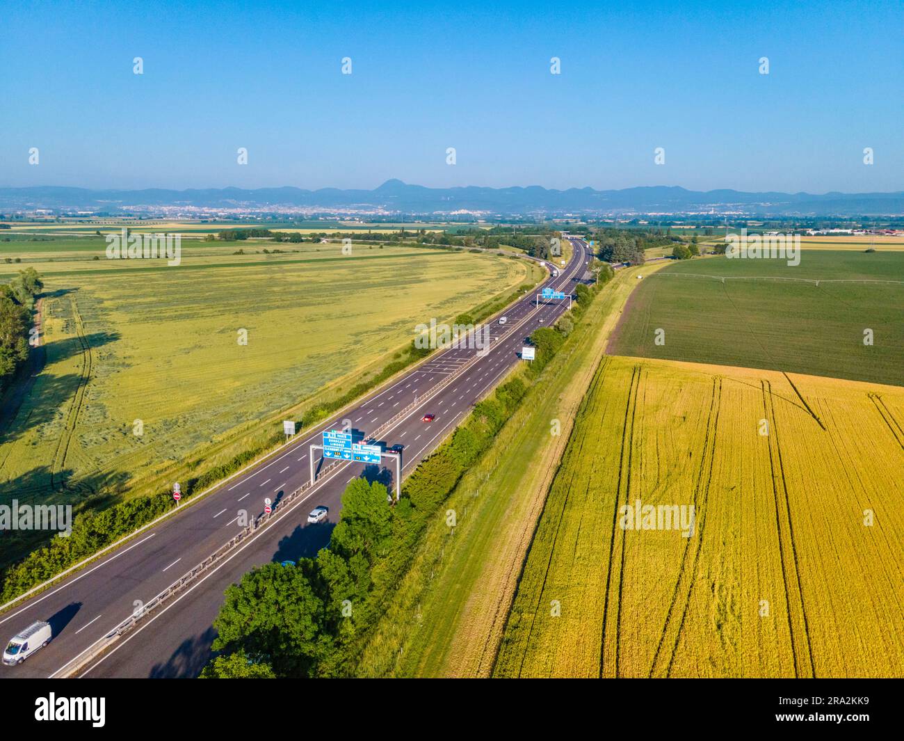 Les martres Banque de photographies et d’images à haute résolution - Alamy