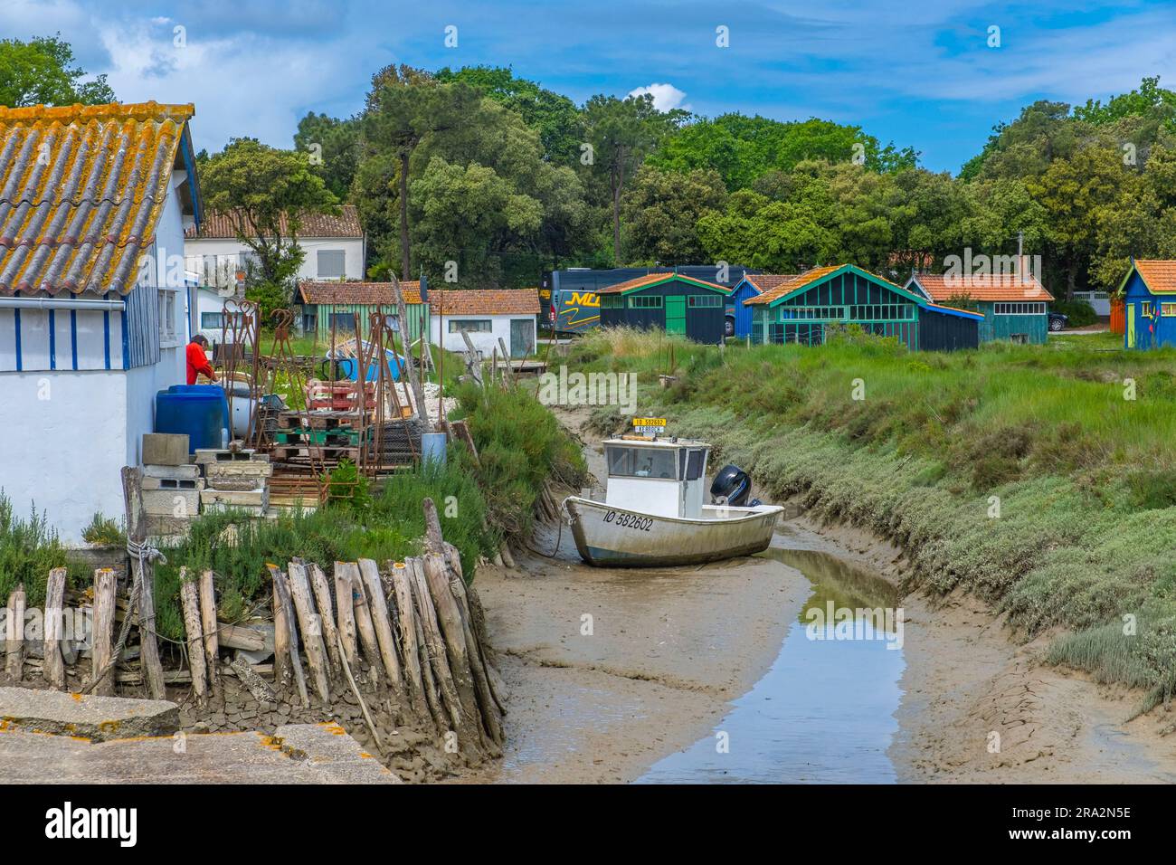 France, Charente Maritime, ile d'Oléron, île d'Oléron, Boyardville ...