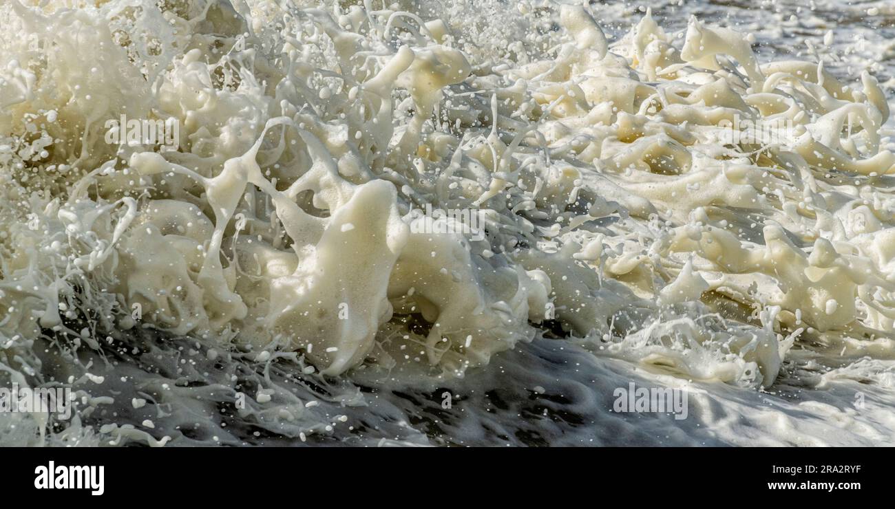 France, somme, Baie de somme, Ault, Storm Noa à Ault, vents à 120 km/h ...