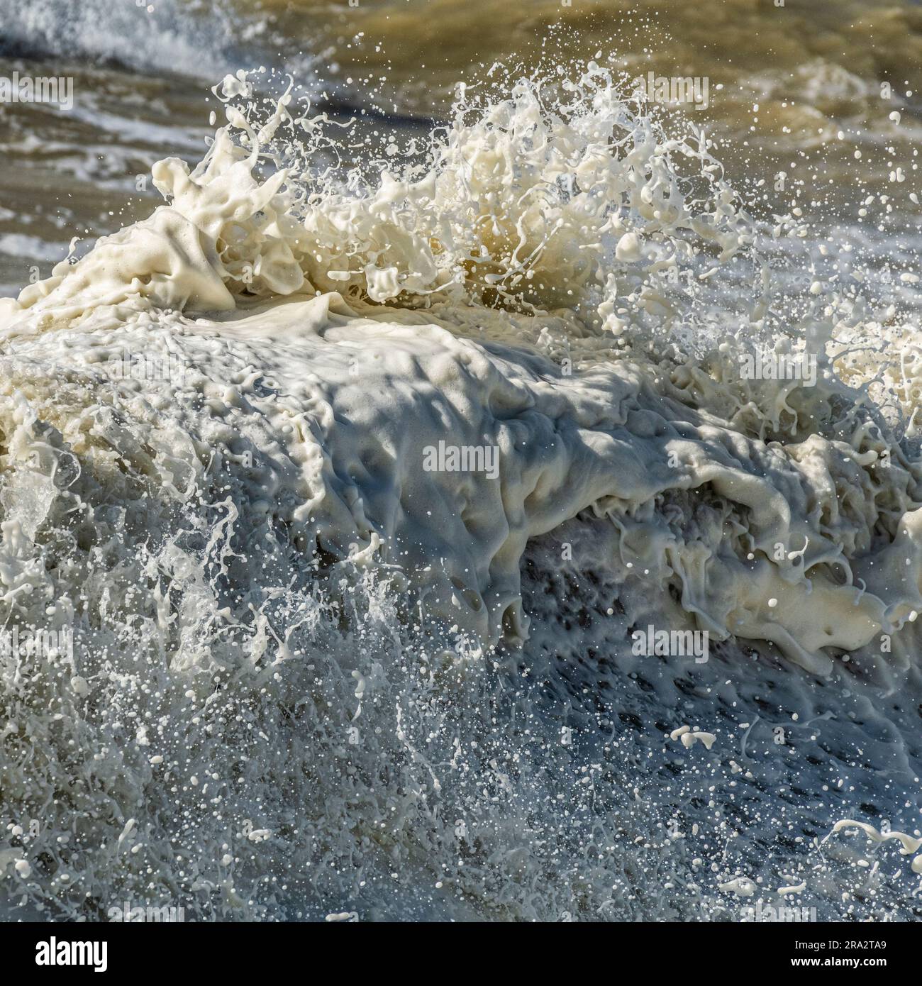 France, somme, Baie de somme, Ault, Storm Noa à Ault, vents à 120 km/h ...