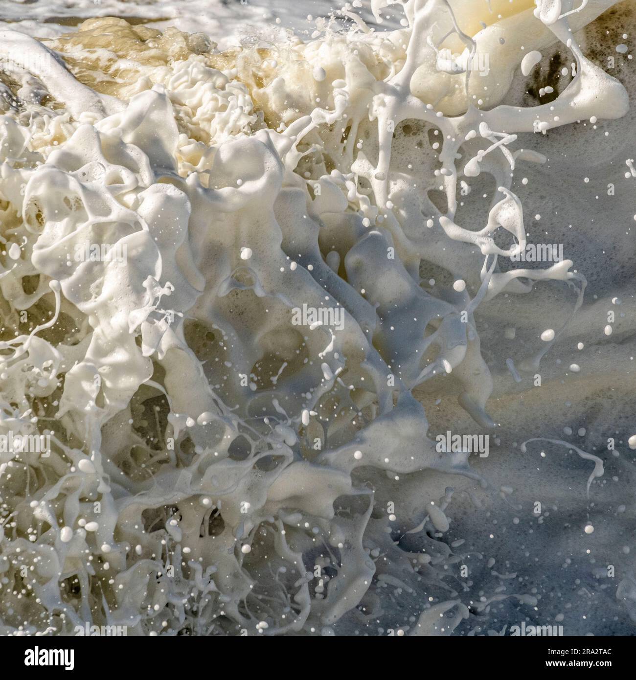 France, somme, Baie de somme, Ault, Storm Noa à Ault, vents à 120 km/h ...