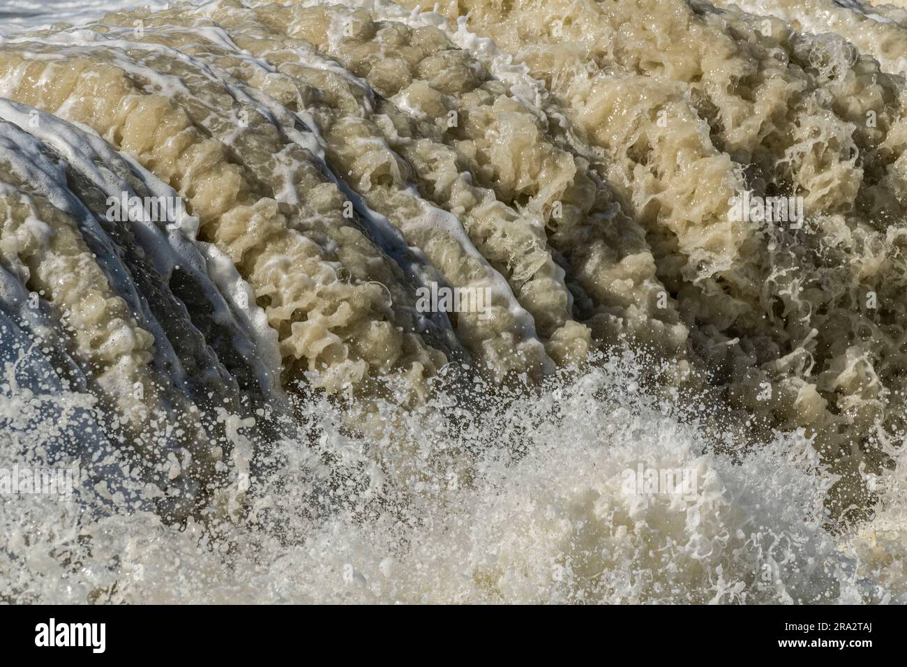 France, somme, Baie de somme, Ault, Storm Noa à Ault, vents à 120 km/h ...