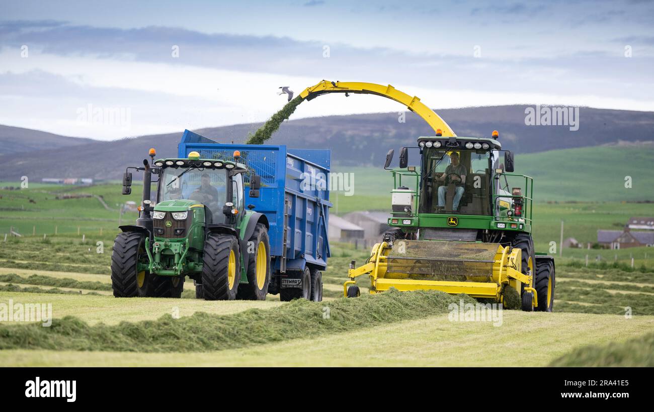 Préparation d'ensilage dans une exploitation laitière de l'île Orkney ...