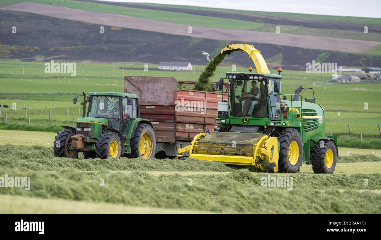 Préparation d'ensilage dans une exploitation laitière de l'île Orkney ...