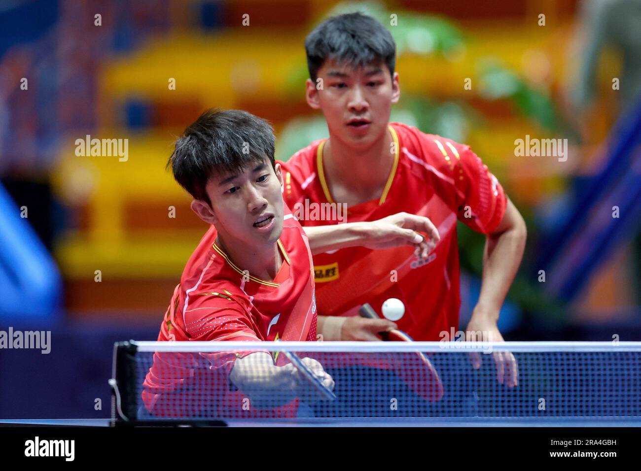 Ming hon Banque de photographies et d’images à haute résolution - Alamy