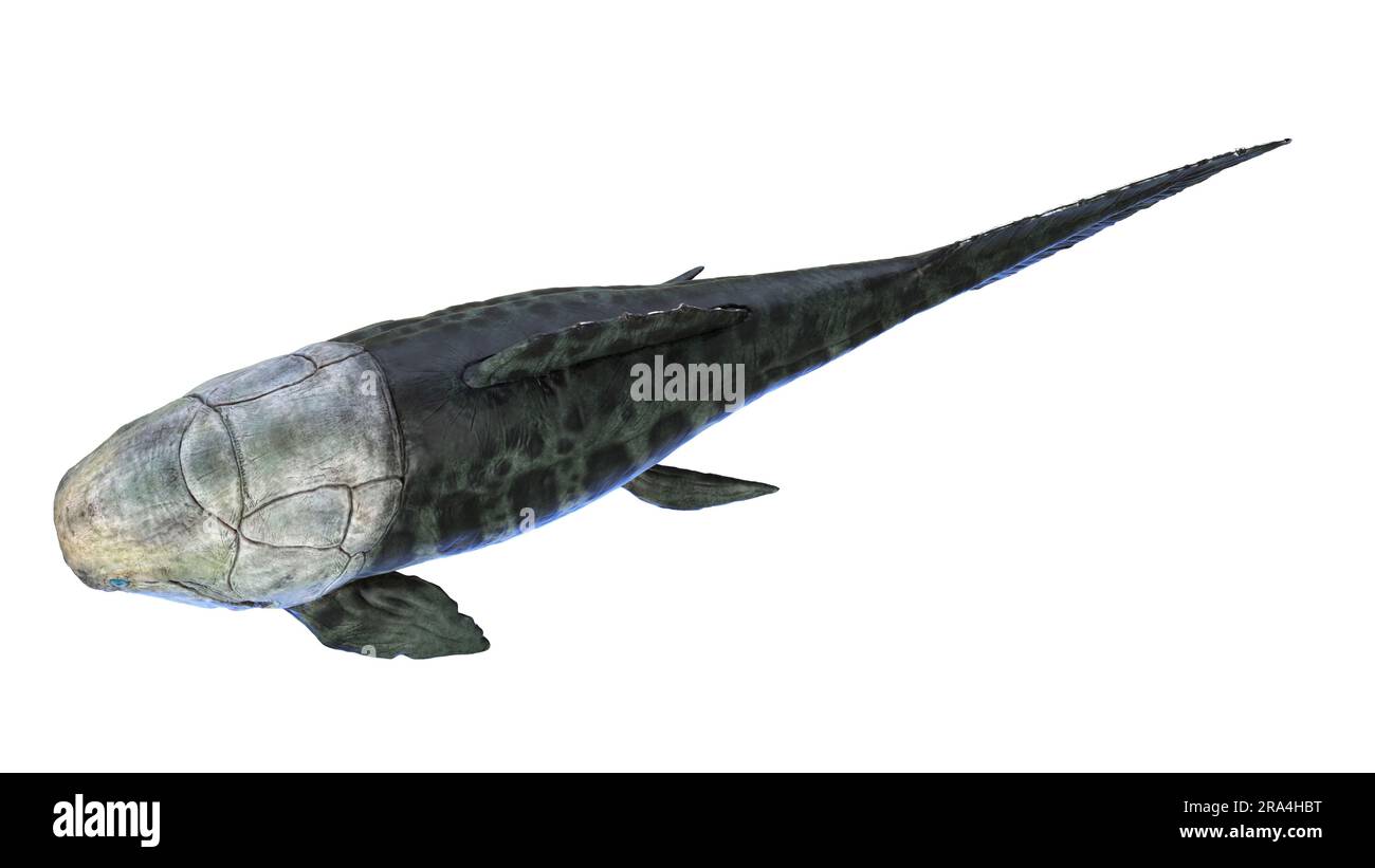 Dunkleosteus fish Banque de photographies et d’images à haute ...