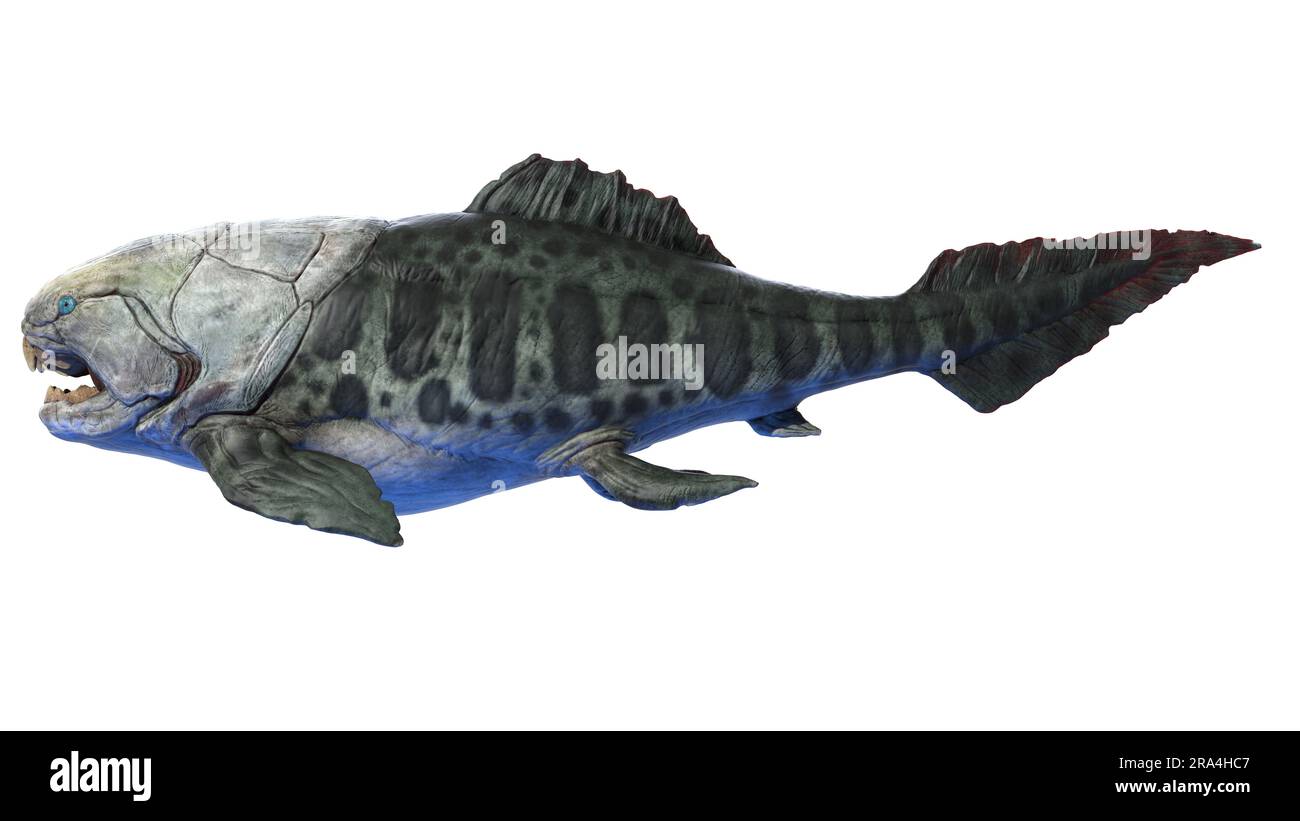 Dunkleosteus fish Banque de photographies et d’images à haute ...