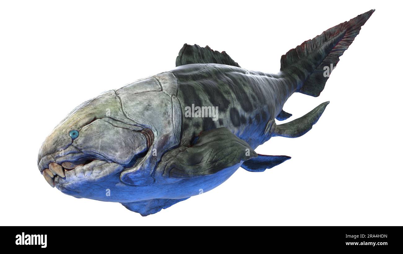 Dunkleosteus fish Banque de photographies et d’images à haute ...