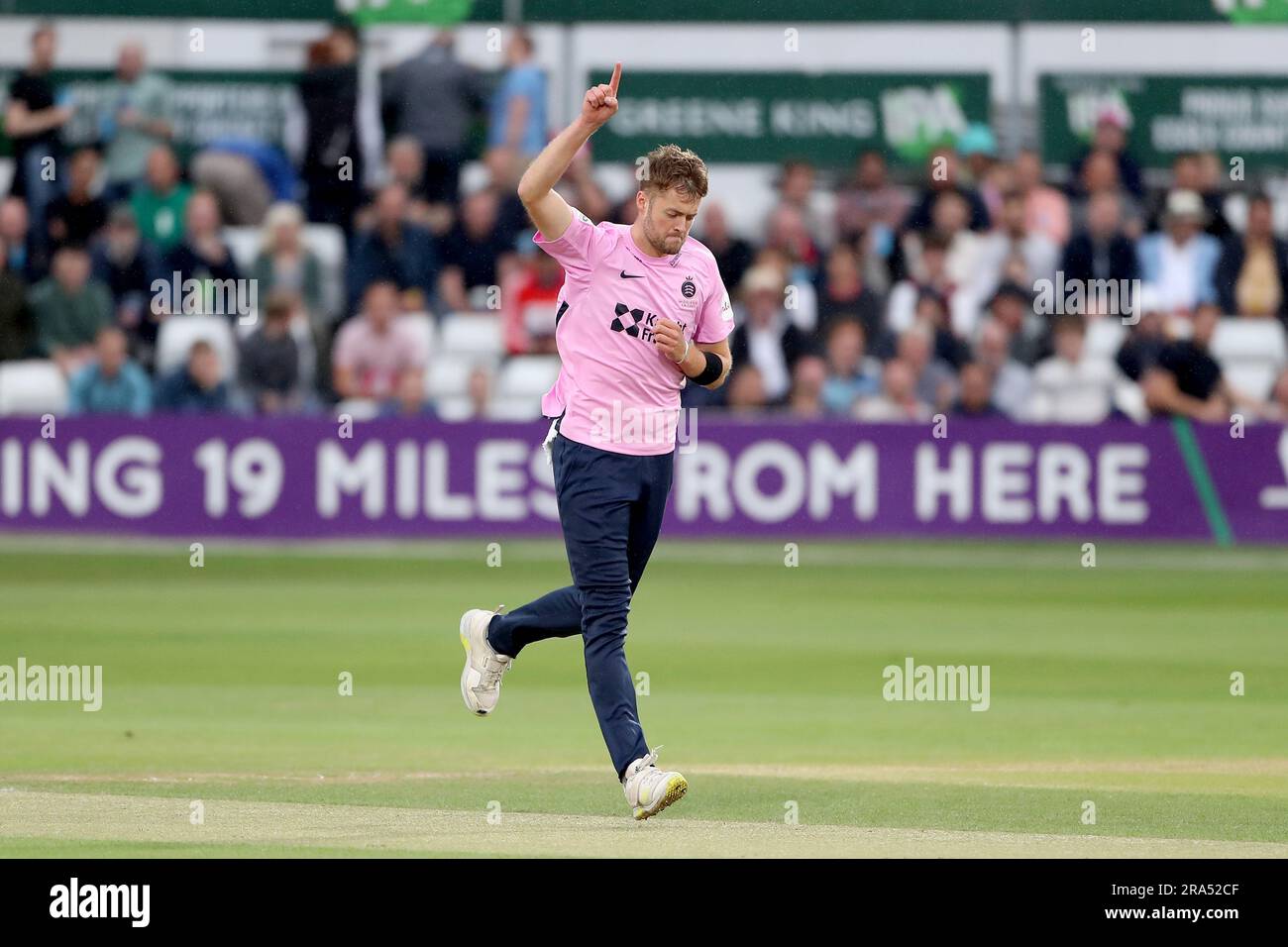 Tom Helm, de Middlesex, célèbre la prise de la cricket d'Adam ...
