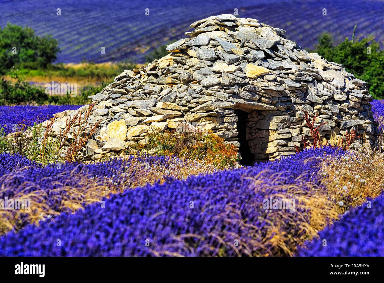 Cabane de borie en pierre typique Banque de photographies et d’images à ...