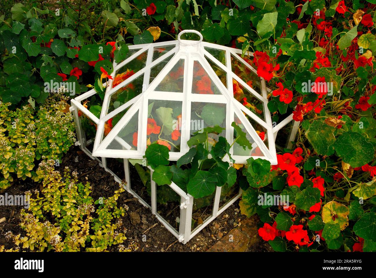 Mini greenhouse Banque de photographies et d’images à haute résolution - Alamy