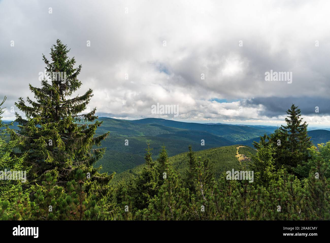 Vegetacni chodnik Banque de photographies et d’images à haute ...