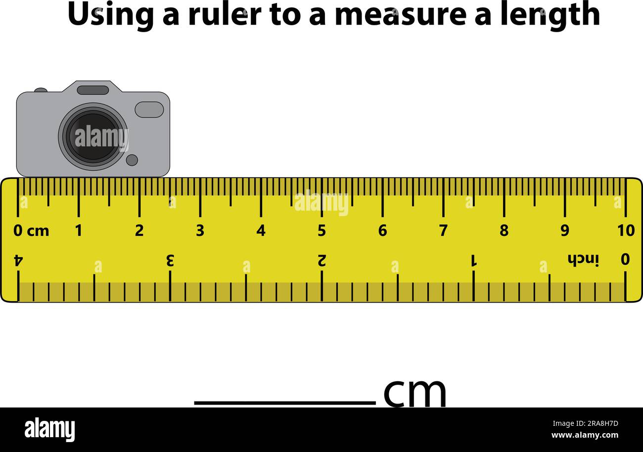 Mesure de la longueur en centimètres avec la règle. Feuille de travail ...