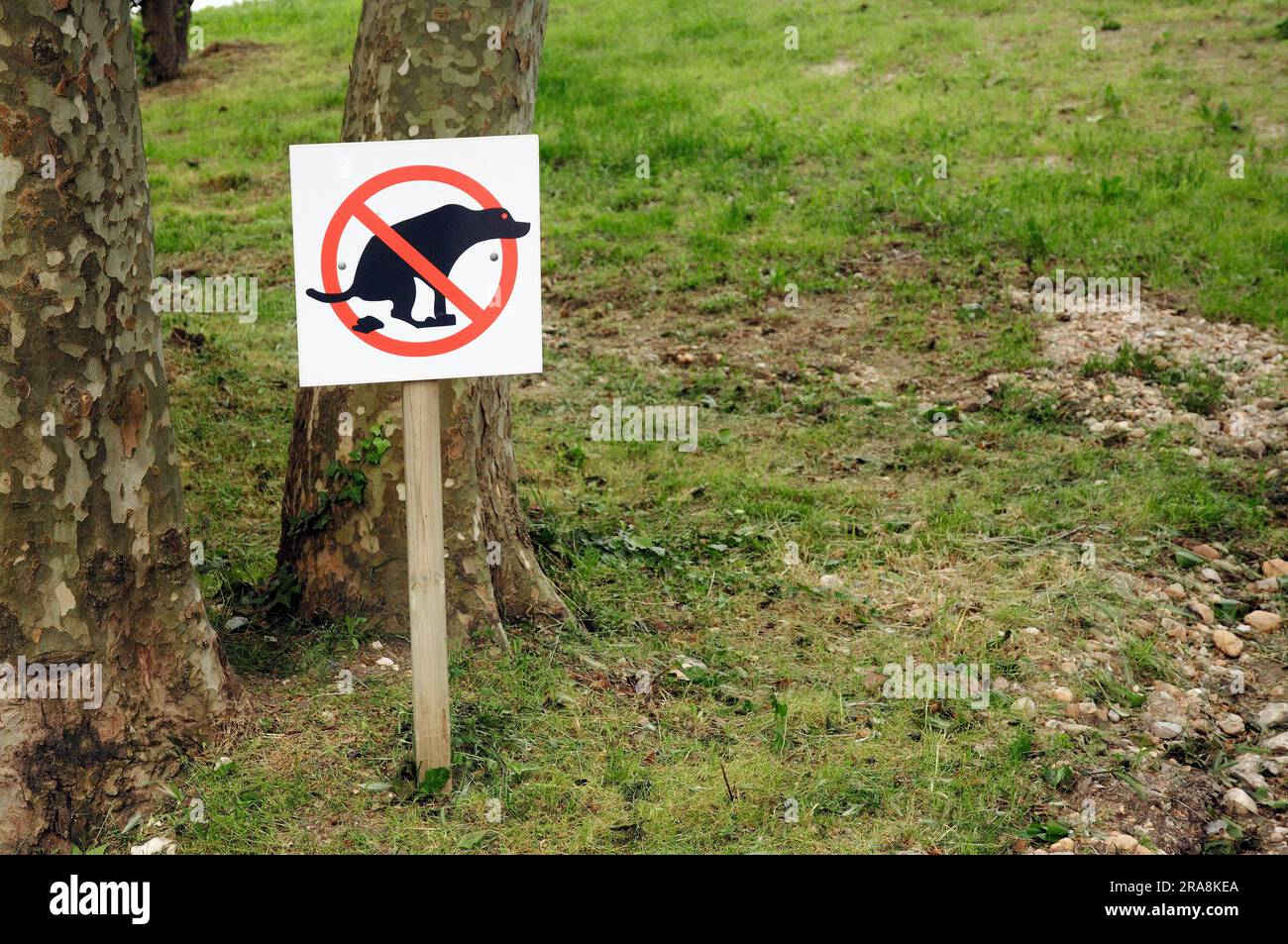 Panneau 'excrément de porc interdit', Provence, sud de la France, non ...