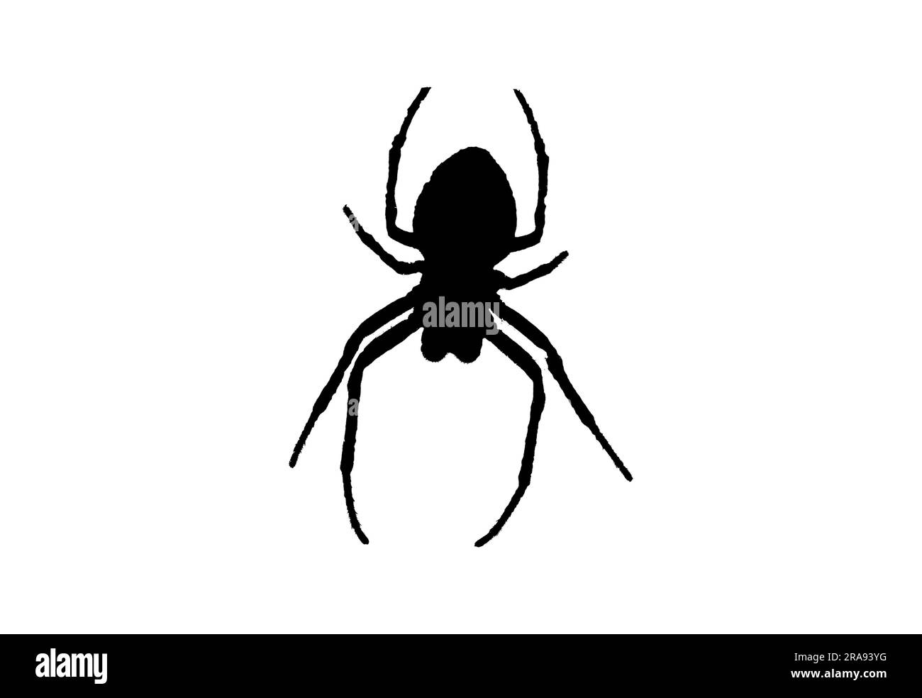 Jambe poilu Banque d'images noir et blanc - Alamy