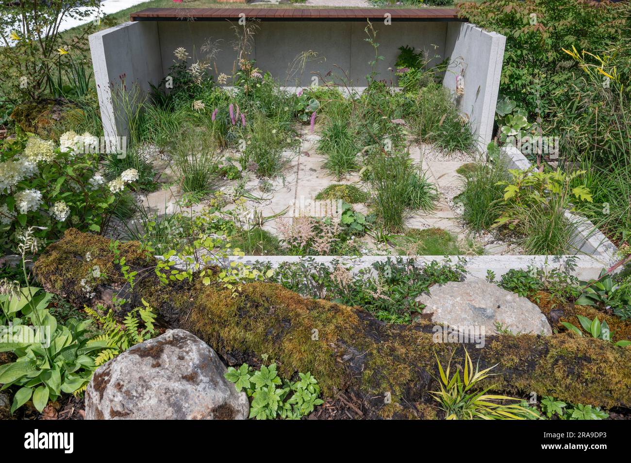 Danbee kim Banque de photographies et d’images à haute résolution - Alamy