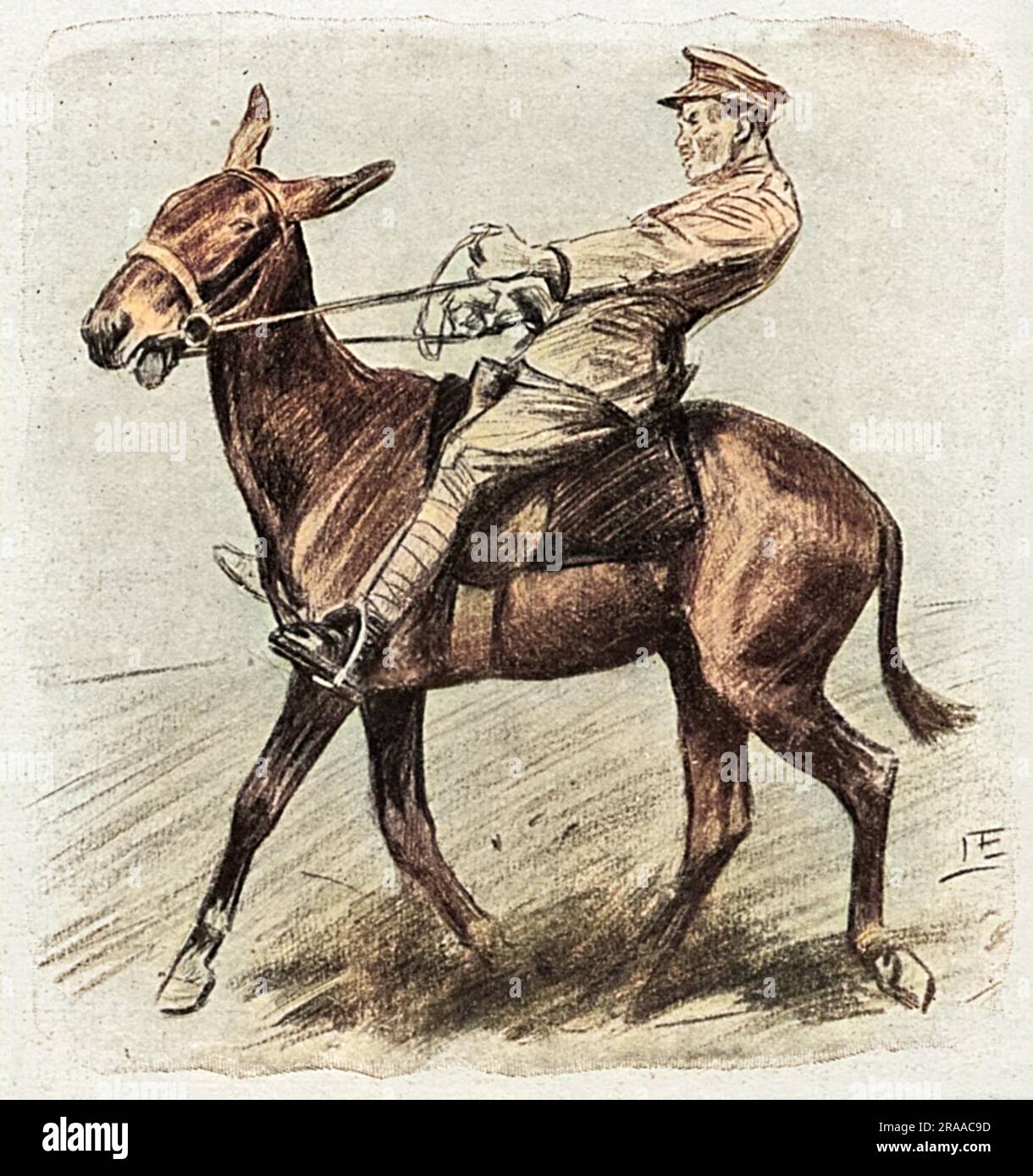 Army mule Banque de photographies et d’images à haute résolution - Alamy