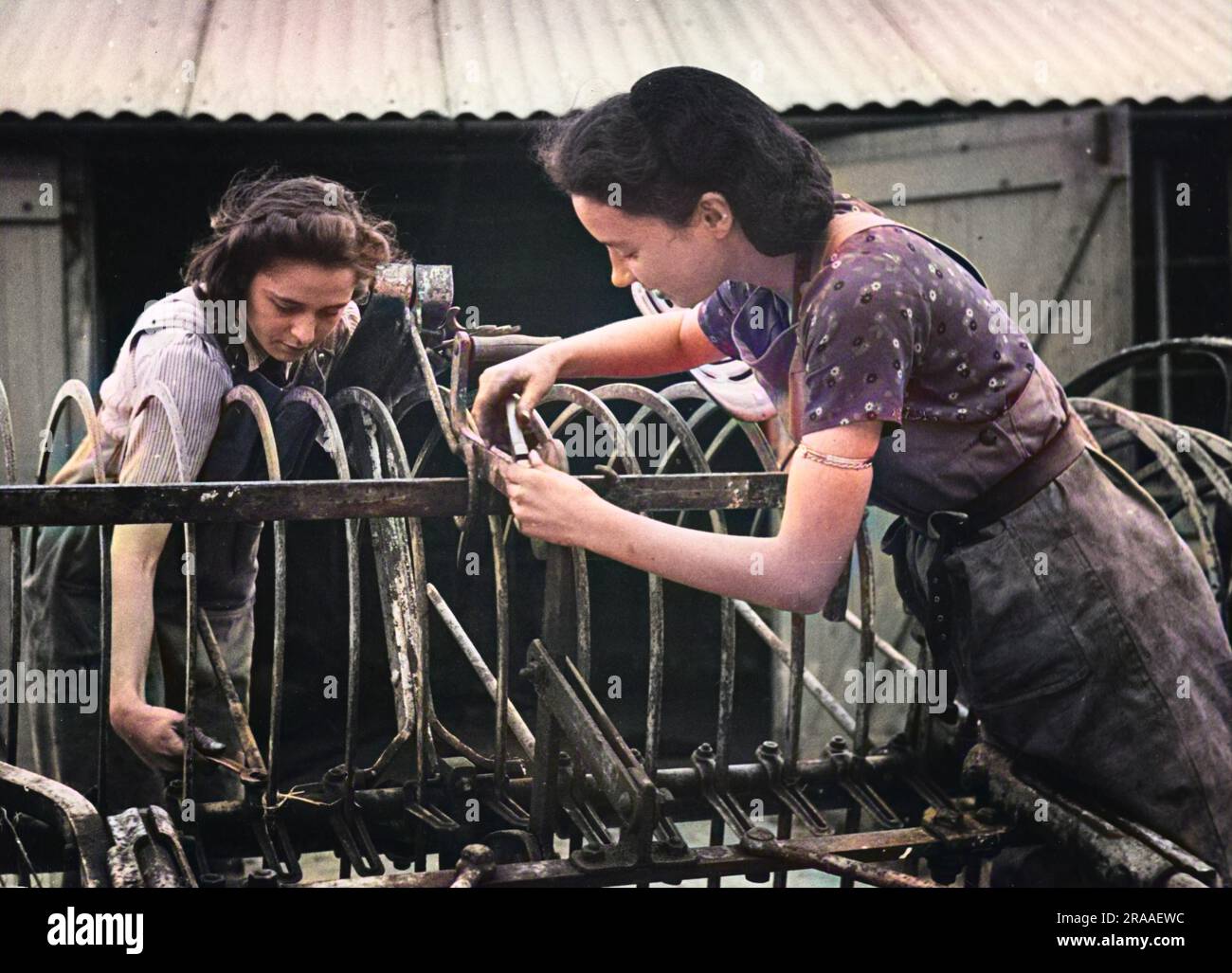 Landgirls landgirls Banque de photographies et d’images à haute ...