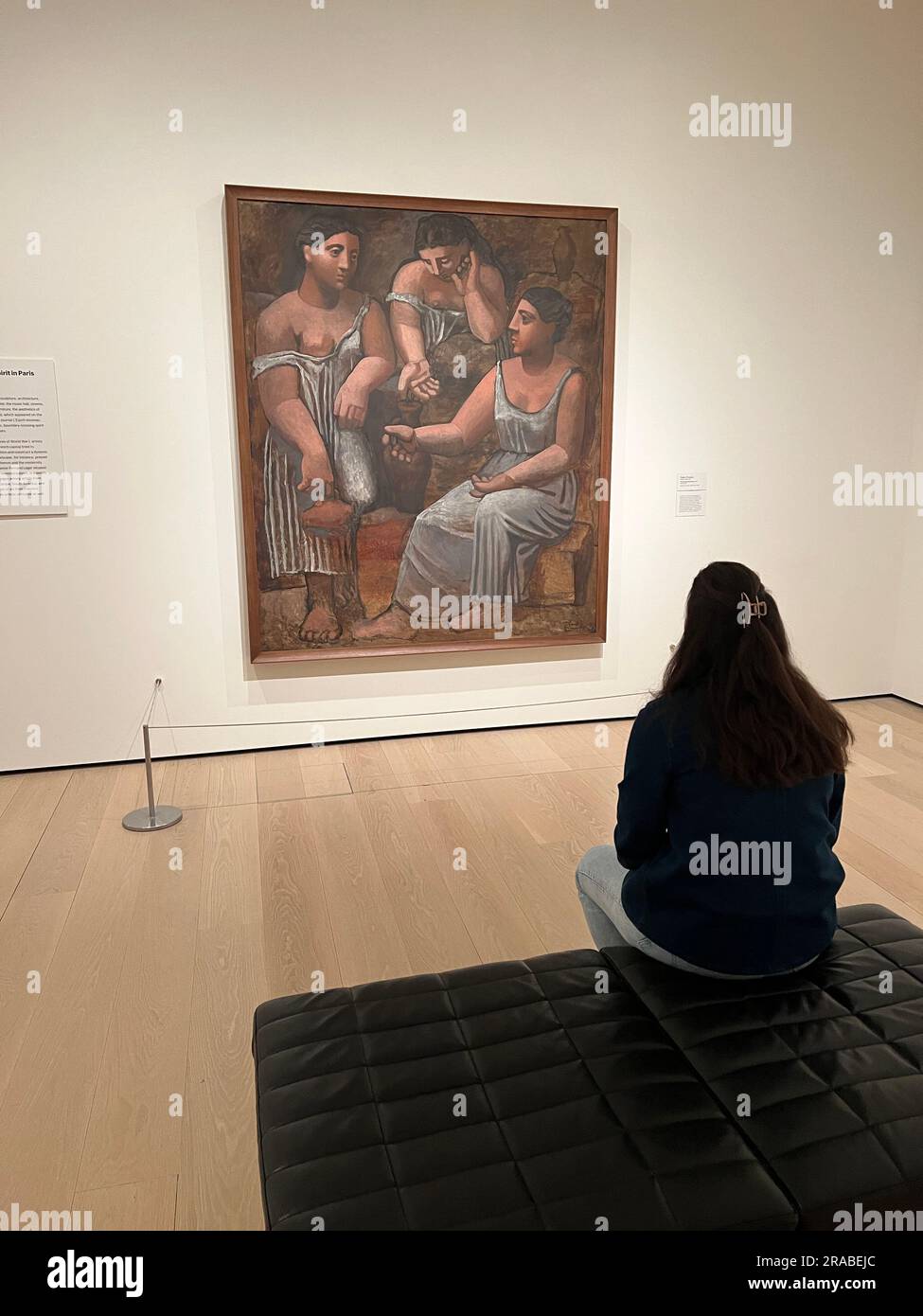 Paintings by pablo picasso Banque de photographies et d’images à haute résolution - Alamy