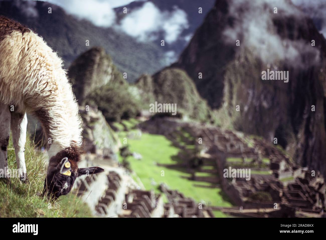 Inca village Banque de photographies et d’images à haute résolution - Alamy