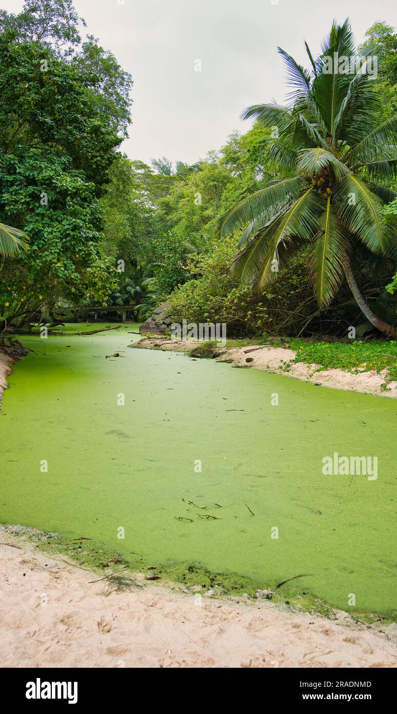 Oxygen deficiency Banque de photographies et d’images à haute ...
