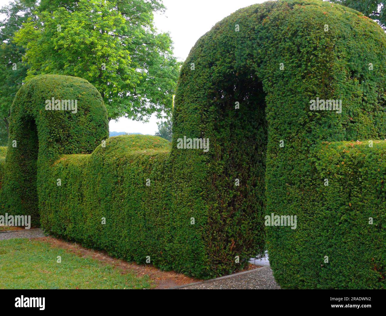 Haie et maison Banque de photographies et d’images à haute résolution ...