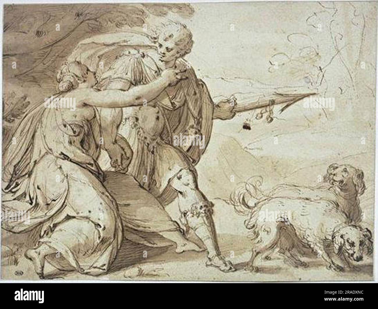 Adonis chasse Banque de photographies et d’images à haute résolution ...