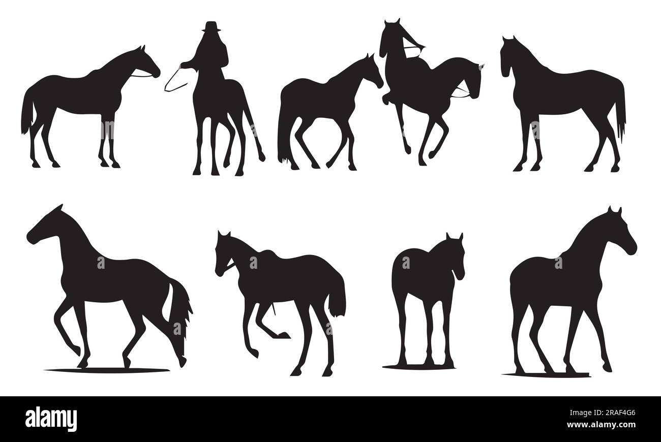 Cheval silhouette Banque d'images vectorielles - Alamy