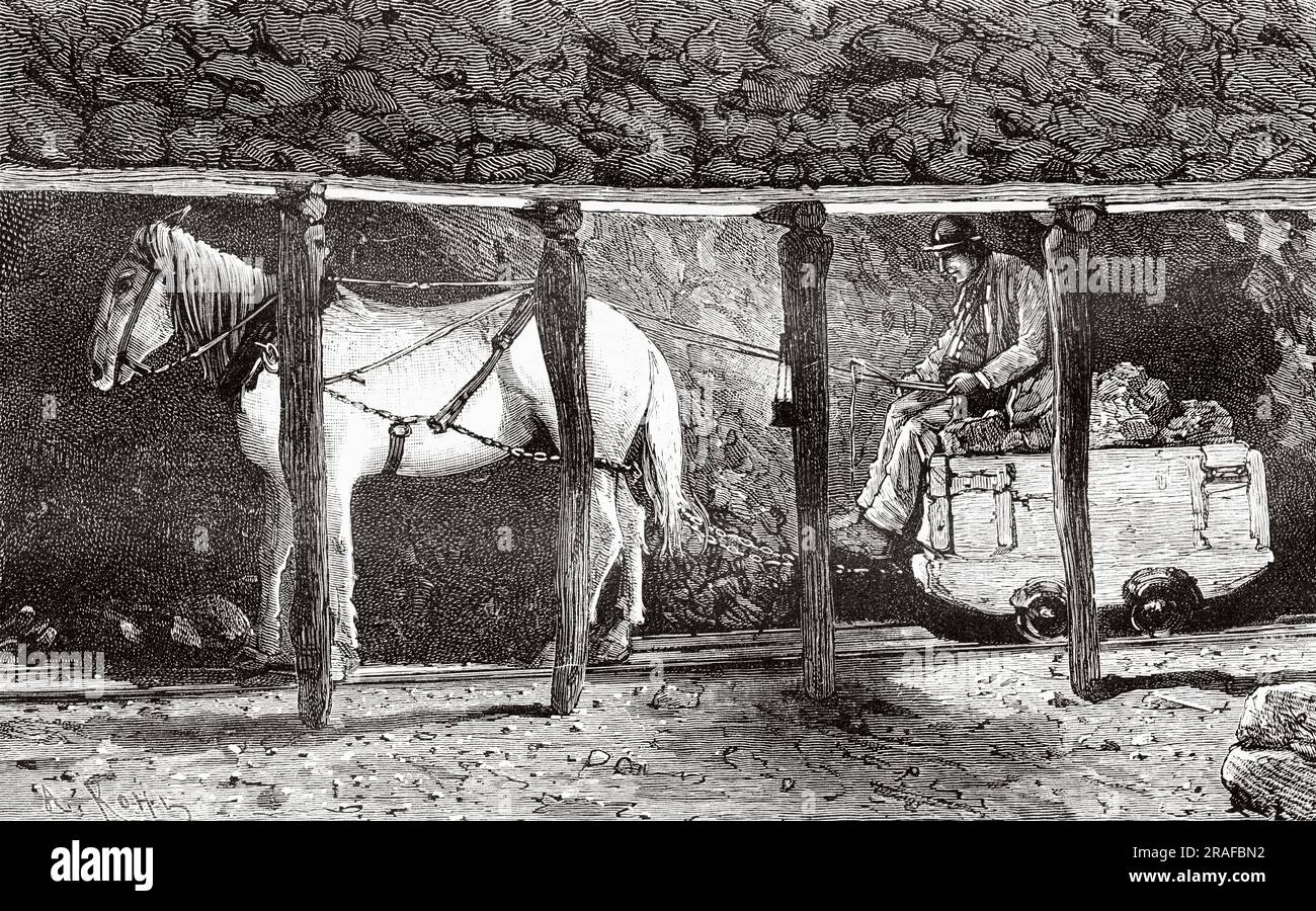 Wagon tiré par un cheval utilisé les mines de charbon Borinage ...