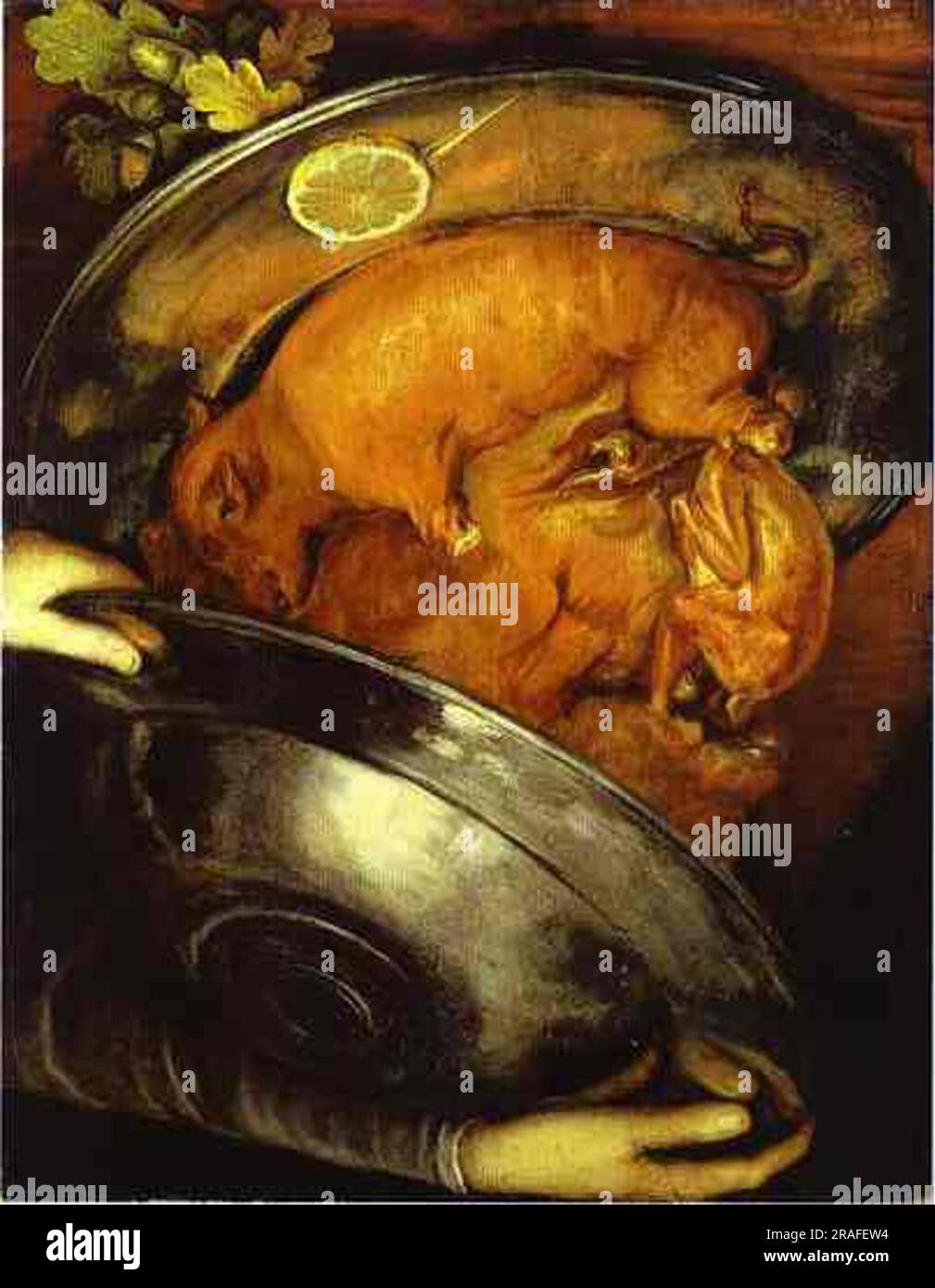 Arcimboldo cook Banque de photographies et d’images à haute résolution ...