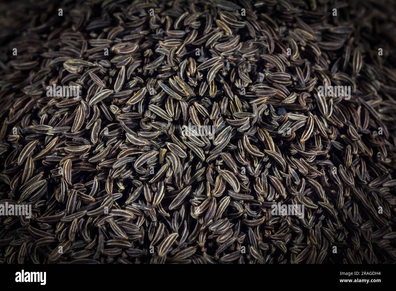 Illustration d'une pile de graines de cumin à l'écran. Le cumin est une ...