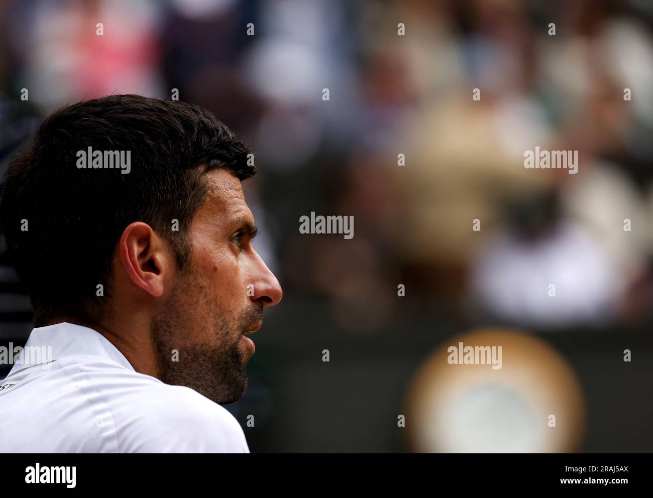 Novak djokovic titres du grand chelem Banque de photographies et d ...