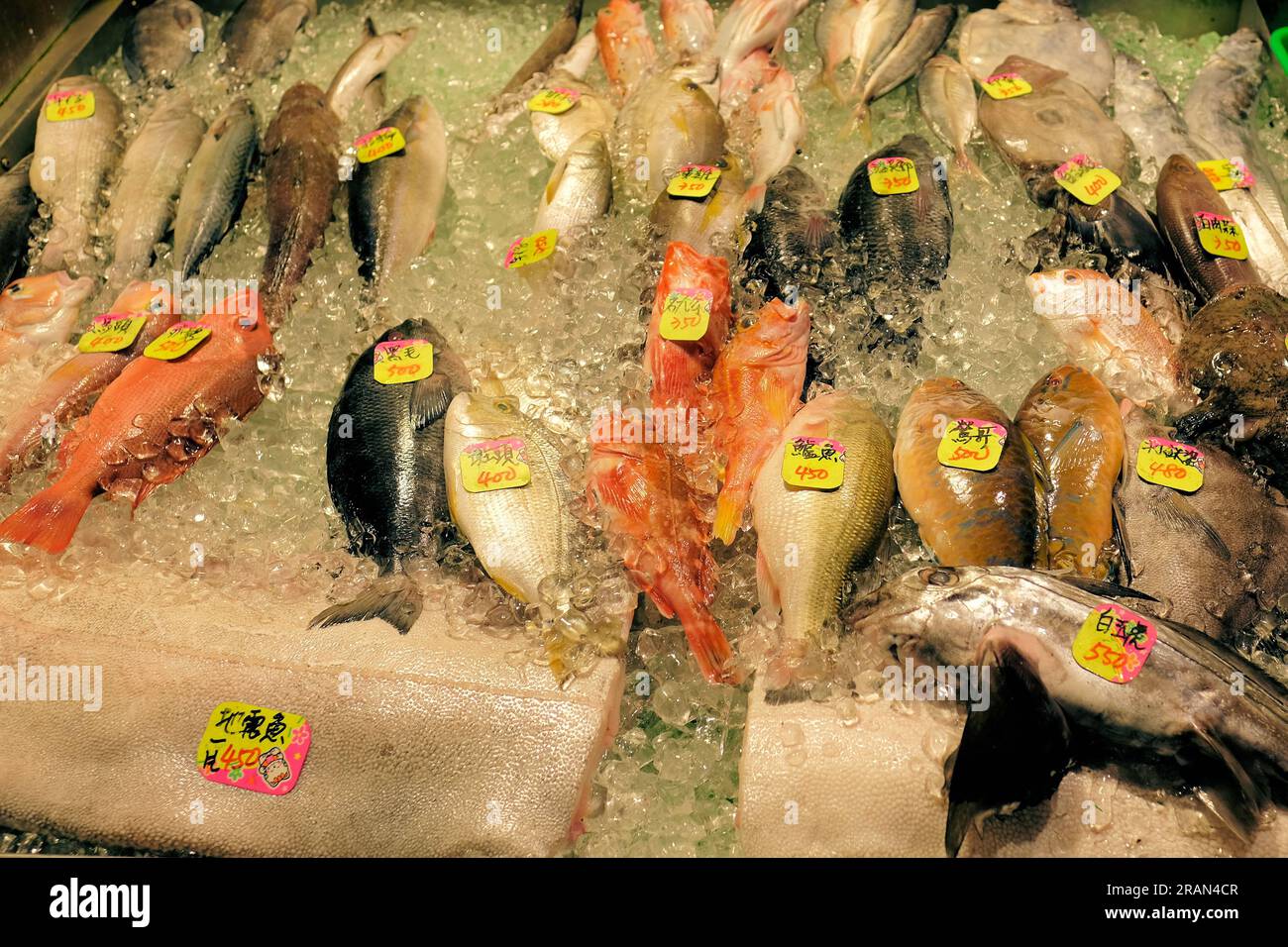 Taipei fish market Banque de photographies et d’images à haute ...