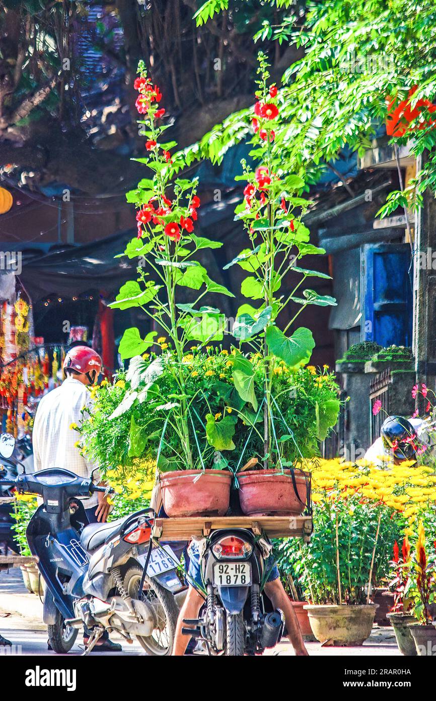 Fleurs de tet traditionnelles Banque de photographies et d’images à ...
