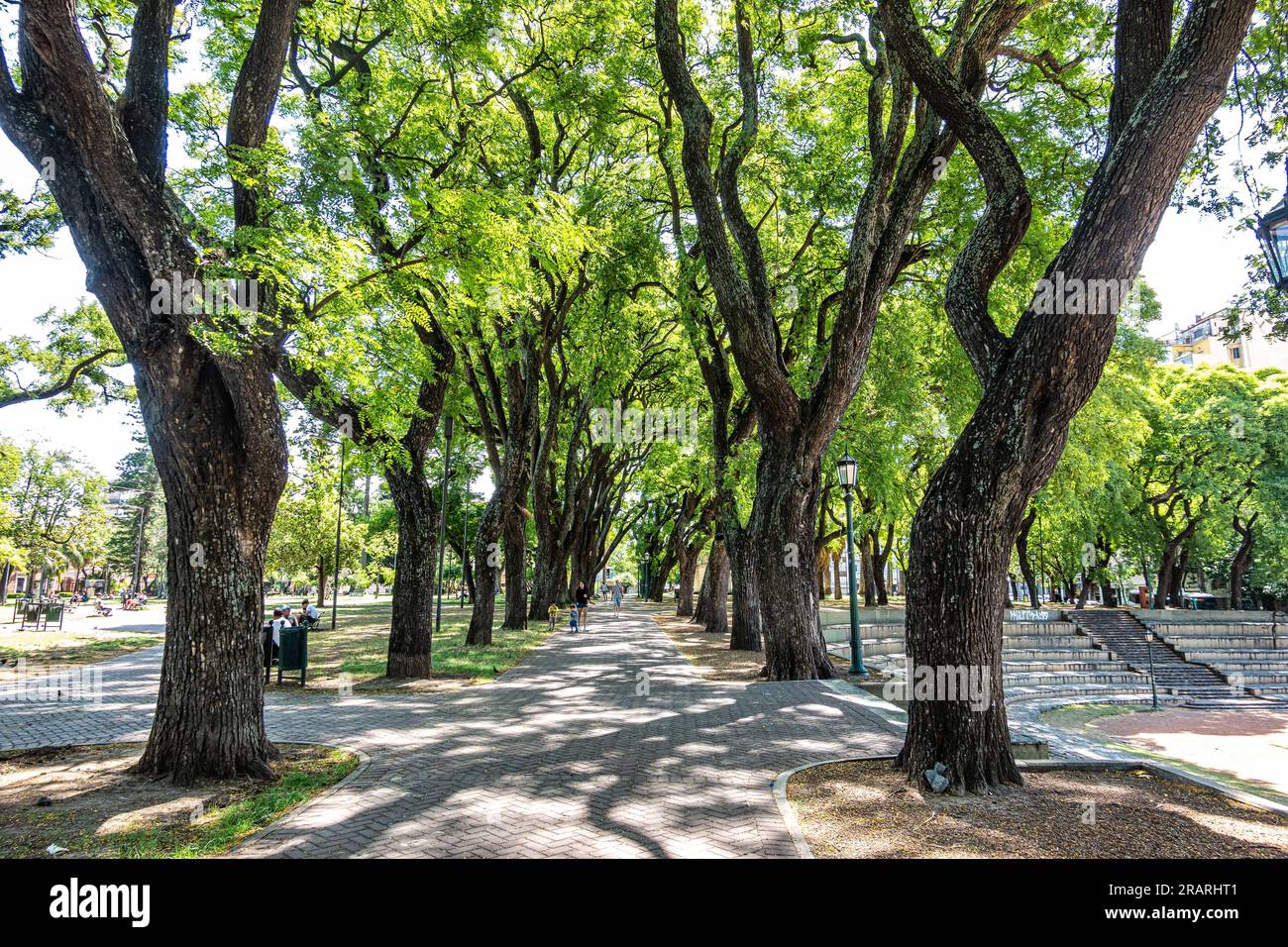 Lezama park Banque de photographies et d’images à haute résolution - Alamy