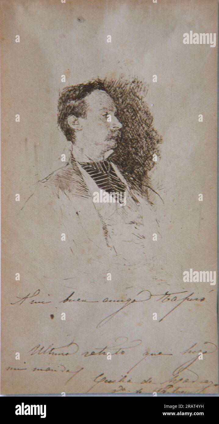 Tapiro baro Banque de photographies et d’images à haute résolution - Alamy