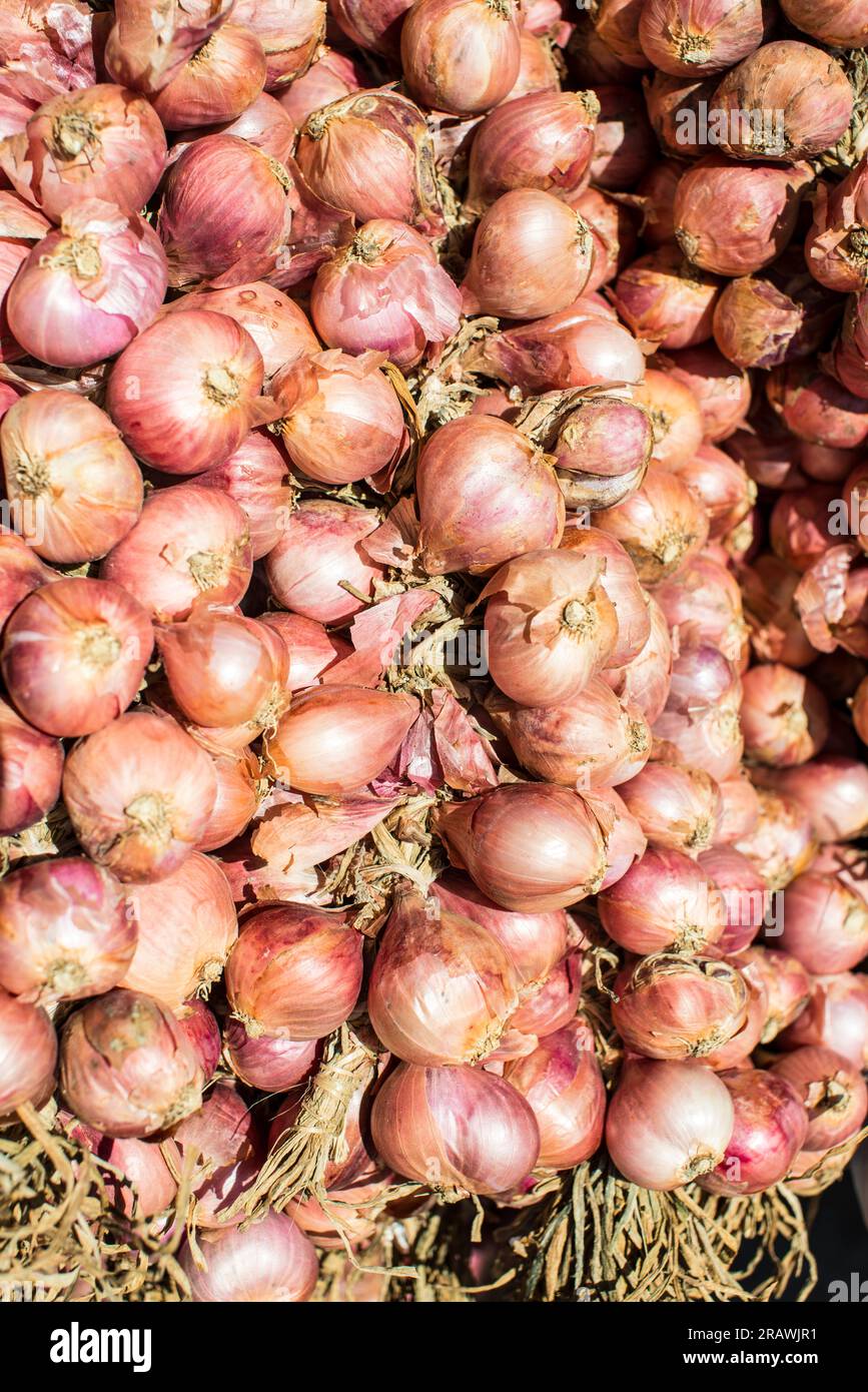 Produire des oignons Banque de photographies et d’images à haute ...