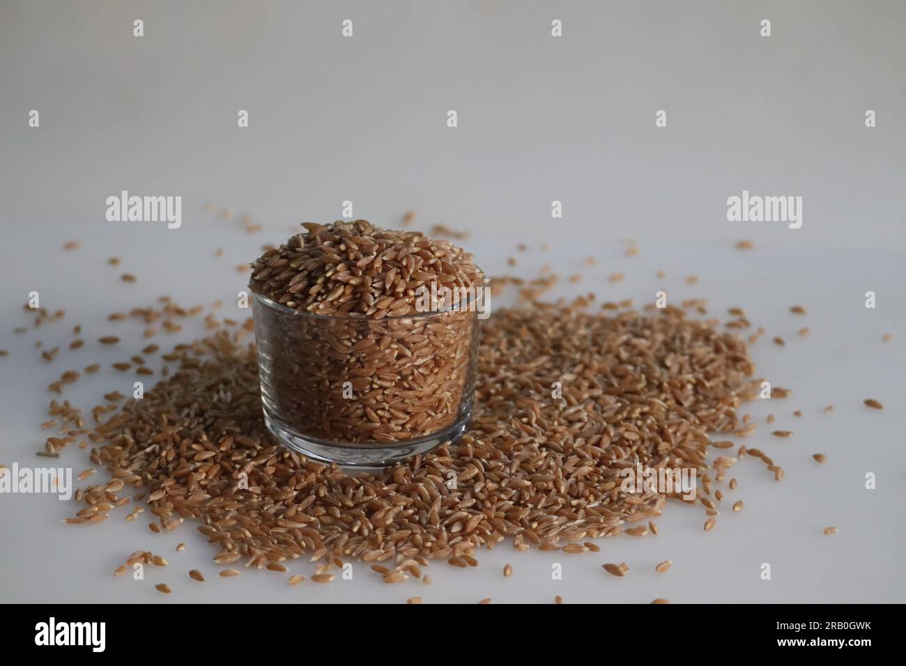 Jave godhi Banque de photographies et d’images à haute résolution - Alamy