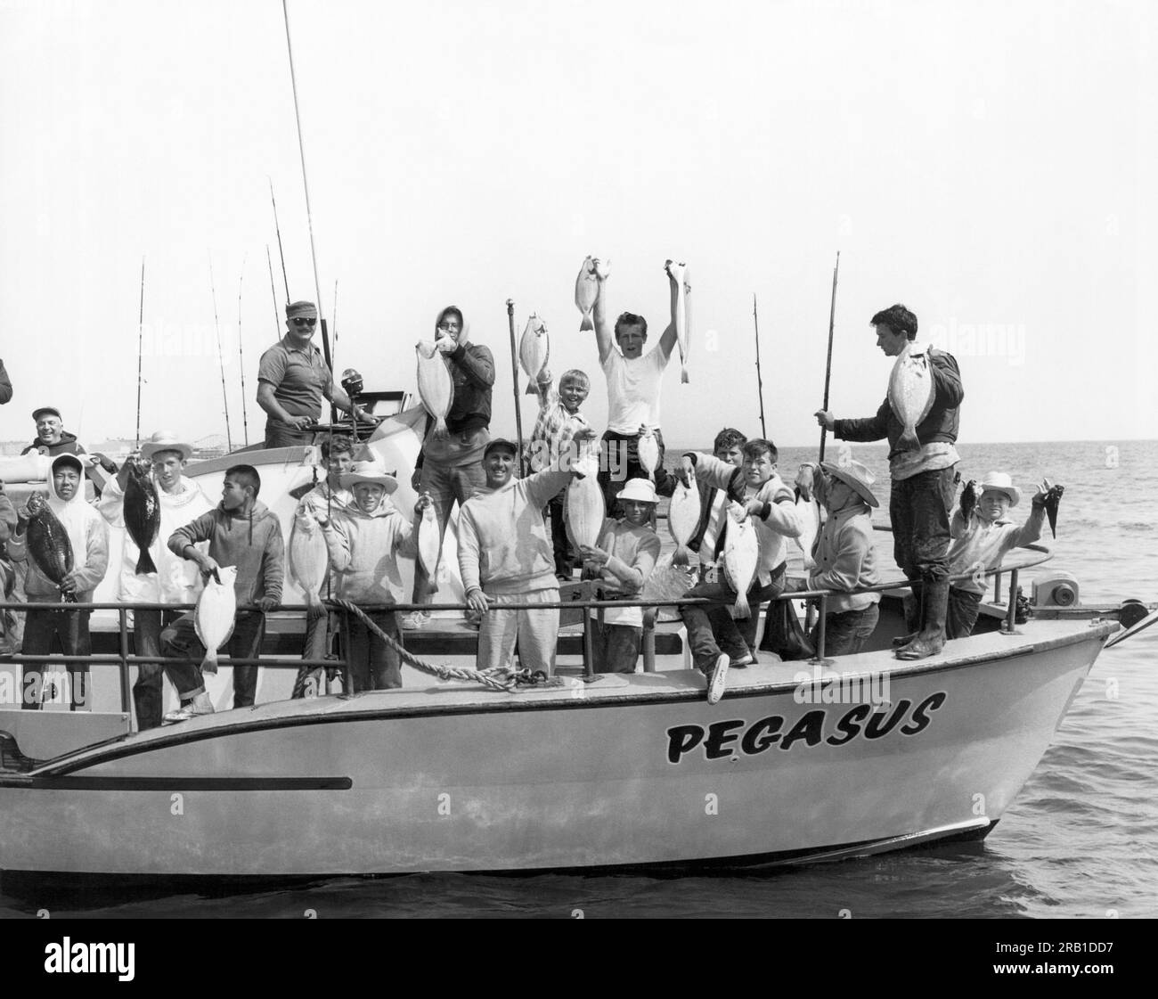 Pegasus fish Banque d'images noir et blanc - Alamy
