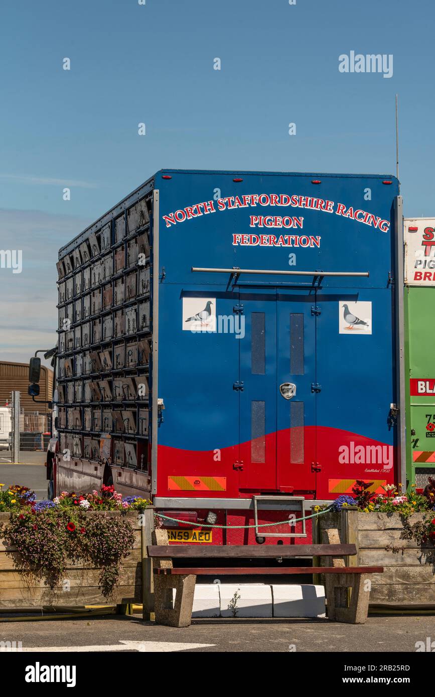 Transport de pigeon Banque de photographies et d’images à haute ...