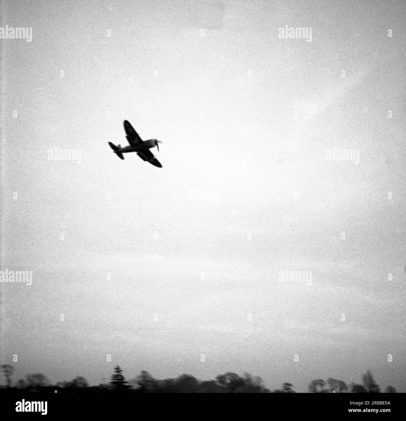 P-47D Thunderbolt Razorback - USAAF United States Army Air Force ...