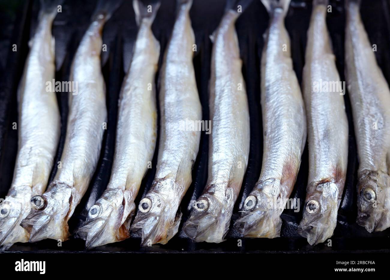 Poissons sur fond noir Banque de photographies et d’images à haute ...