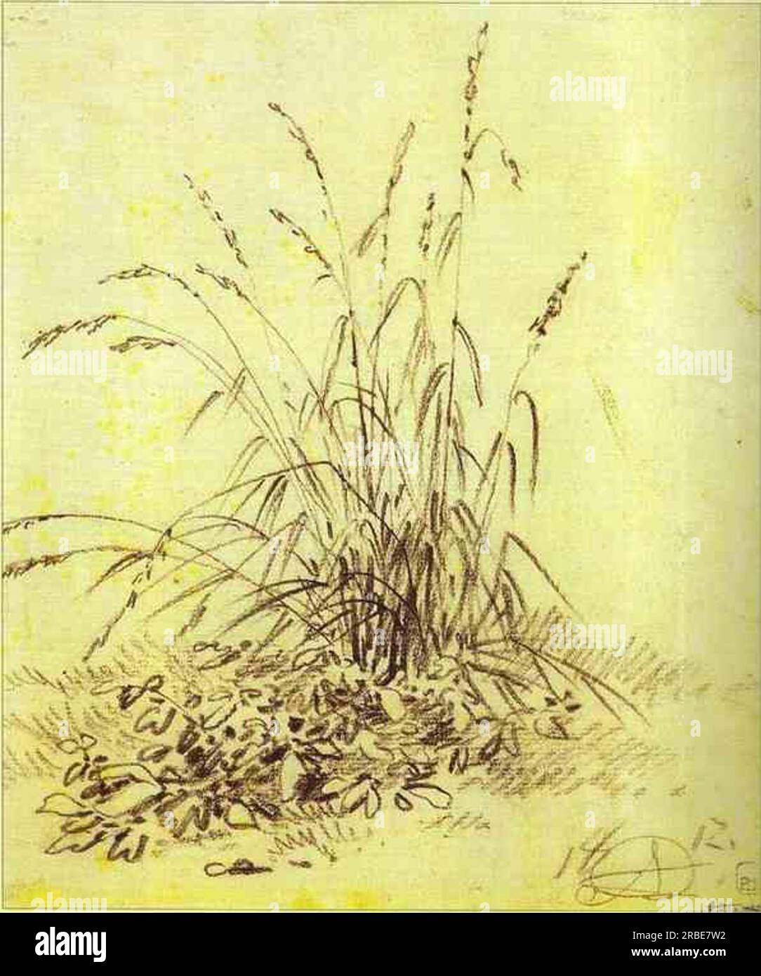 Alexander orlowski Banque de photographies et d’images à haute ...