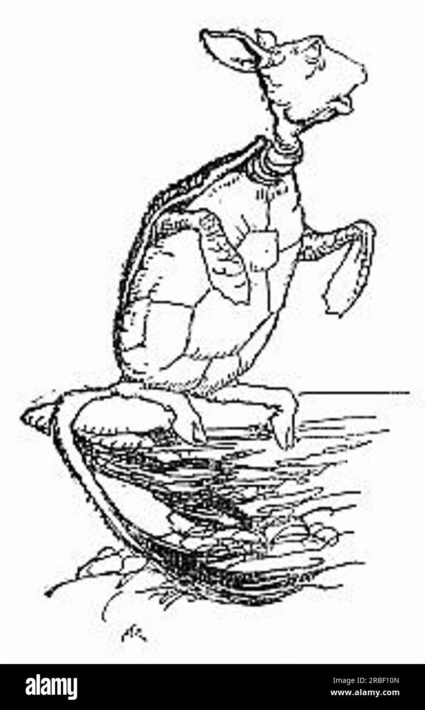 Mock turtle Banque de photographies et d’images à haute résolution - Alamy