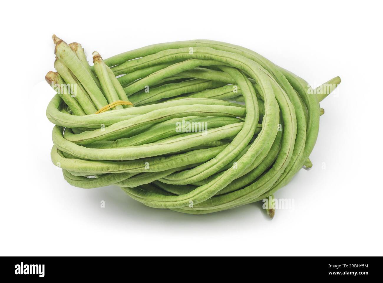 Long légume vert Banque de photographies et d’images à haute résolution ...