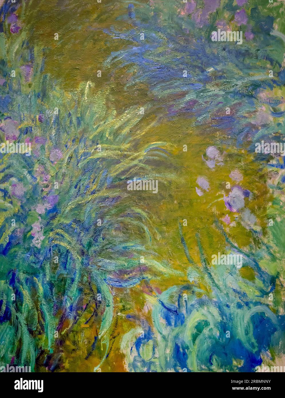 Iris de monet Banque de photographies et d’images à haute résolution ...