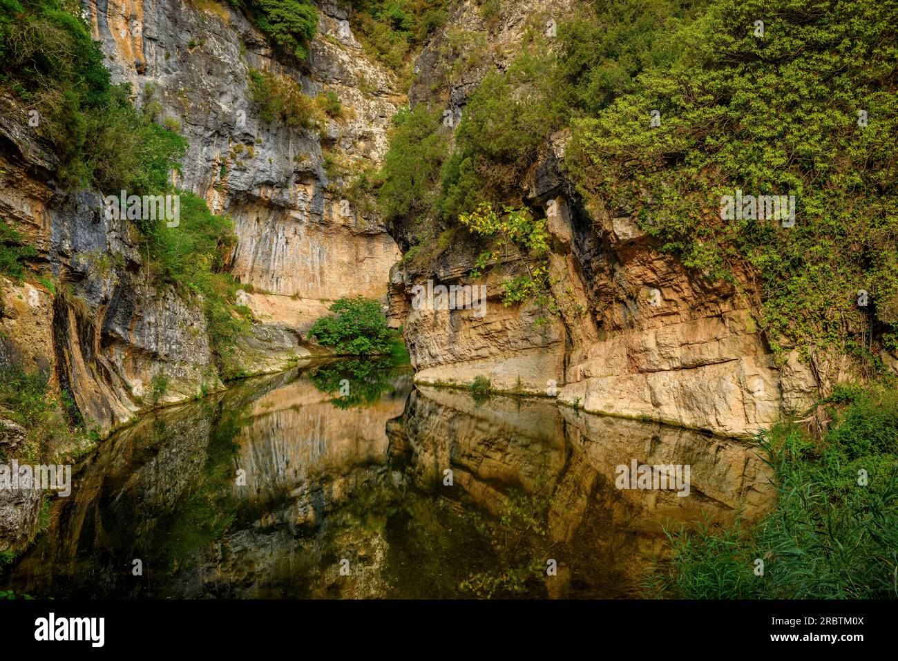 Gorg negre Banque de photographies et d’images à haute résolution - Alamy